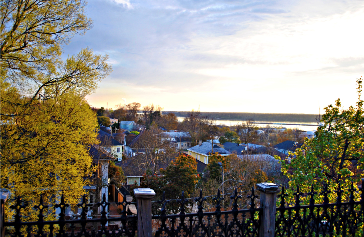 Shadow City – Marrow